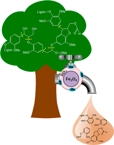 Highly Efficient, Easily Recoverable, and Recyclable Re–SiO2–Fe3O4 Catalyst for the ...