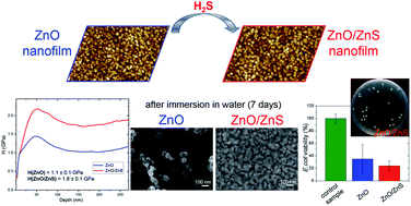 用于增强环境稳定性和改善 ZnO 薄膜性能的 ZnS 涂层,RSC Advances - X-MOL