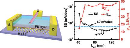MoS2 Negative‐Capacitance Field‐Effect Transistors with Subthreshold ...