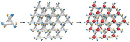 3D DNA Origami Crystals,Advanced Materials - X-MOL
