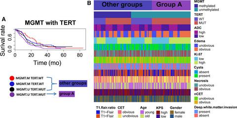 The TERT promoter mutation status and MGMT promoter methylation status, combined with ...