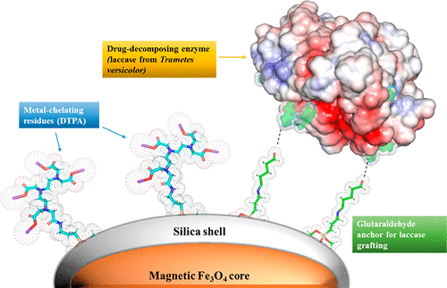 固定在Fe 3 O 4 / SiO 2 -DTPA杂化纳米复合材料上的 杂色 漆酶同时去除对乙酰氨基酚，双氯芬酸和镉（II） ,ACS ...