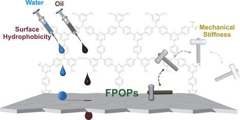 Self-Assembled, Fluorine-Rich Porous Organic Polymers: A Class of ...