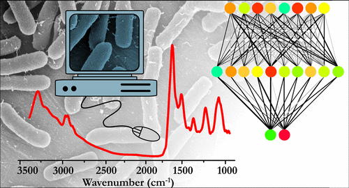 FT-IR Hyperspectral Imaging and Artificial Neural Network Analysis for Identification of ...