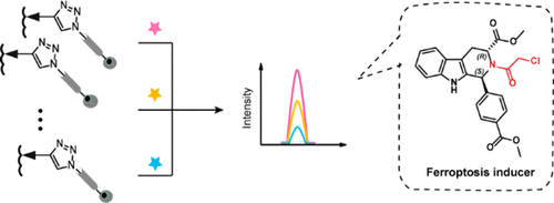 A Dimethyl-Labeling-Based Strategy for Site-Specifically Quantitative ...