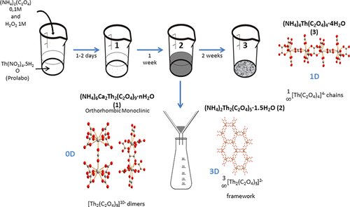 Solid State Chemistry of Ten-Fold Coordinate Thorium(IV) Complexes with ...