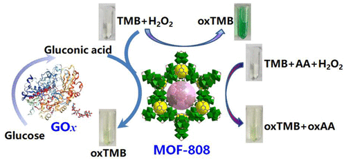 MOF-808: A Metal–Organic Framework with Intrinsic Peroxidase-Like ...