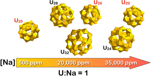 Complexity of Uranyl Peroxide Cluster Speciation from Alkali-Directed ...