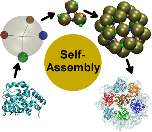 Self-Assembly of α-Tocopherol Transfer Protein Nanoparticles: A Patchy ...