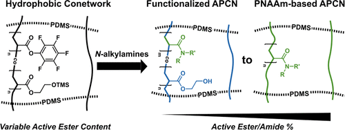 Wide Range of Functionalized Poly(N-alkyl acrylamide)-Based Amphiphilic ...