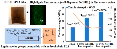 Polylactic Acid Biocomposites Reinforced with Nanocellulose Fibrils ...