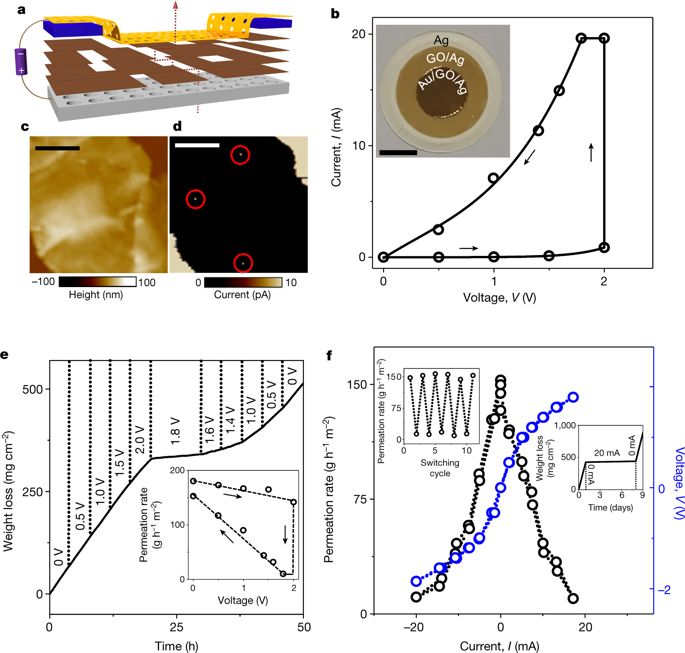 Electrically controlled water permeation through graphene oxide membranes,Nature - X-MOL