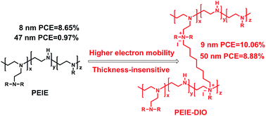 Polymer with a 3D conductive network: a thickness-insensitive electron ...