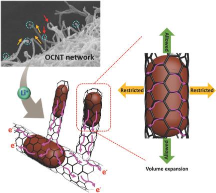 Iron Oxide Nanoparticle‐Encapsulated CNT Branches Grown on 3D Ozonated ...