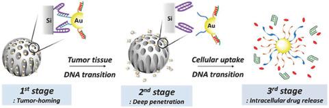 Programmed Nanoparticle‐Loaded Nanoparticles for Deep‐Penetrating 3D ...