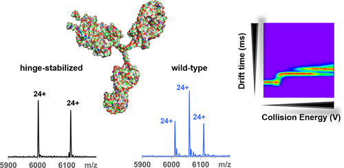 Native Mass Spectrometry, Ion Mobility, and Collision-Induced Unfolding ...
