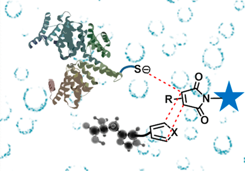 Covalent Modification of Biomolecules through Maleimide-Based Labeling ...