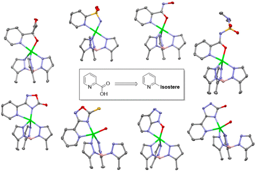Metal-Binding Isosteres as New Scaffolds for Metalloenzyme Inhibitors ...