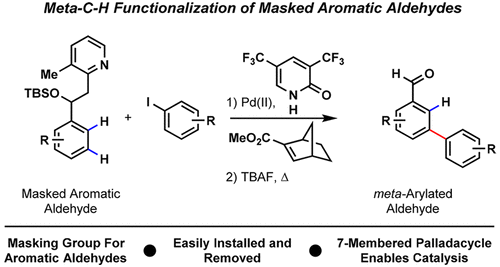 Palladium-Catalyzed meta-C–H Functionalization of Masked Aromatic ...