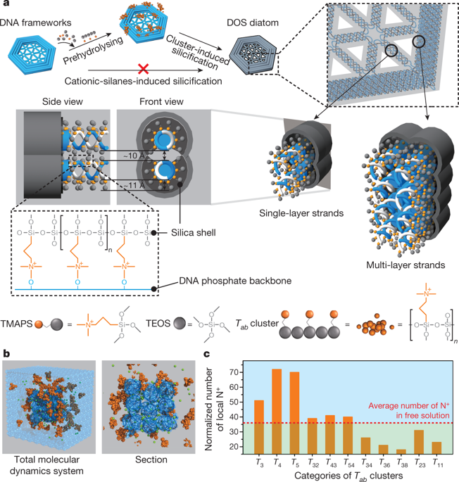 Complex silica composite nanomaterials templated with DNA origami ...