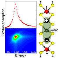 MoSe2单分子膜中激子-声子耦合的观察,Physical Review B - X-MOL
