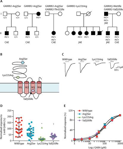 Rare coding variants in genes encoding GABAA receptors in genetic ...