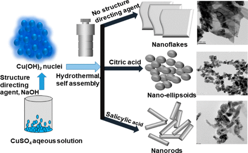 各种CuO纳米结构作为钠离子电池负极材料的形貌相关性能的比较研究,ACS Sustainable Chemistry & Engineering - X-MOL