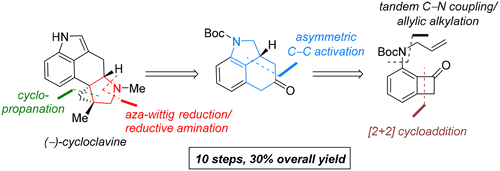 Concise Synthesis of (-)-Cycloclavine and (-)-5-epi-Cycloclavine via ...