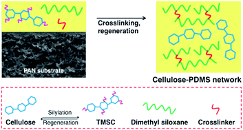 Unique cellulose/polydimethylsiloxane blends as an advanced hybrid ...