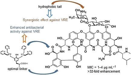 Design and Synthesis of Pyrophosphate‐Targeting Vancomycin Derivatives ...