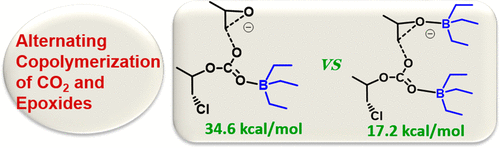 Theoretical Mechanistic Investigation into Metal-Free Alternating ...