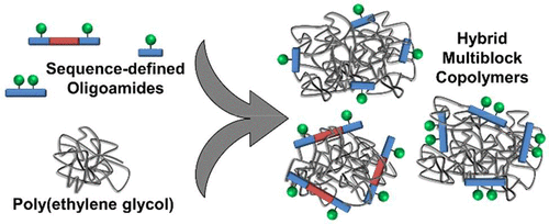 Sequence-Controlled High Molecular Weight Glyco(oligoamide)–PEG ...