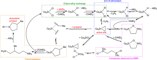 Mechanism of Cp2ZrCl2-Catalyzed Olefin Cycloalumination with AlEt3 ...