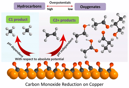 Electrochemical Carbon Monoxide Reduction on Polycrystalline Copper ...