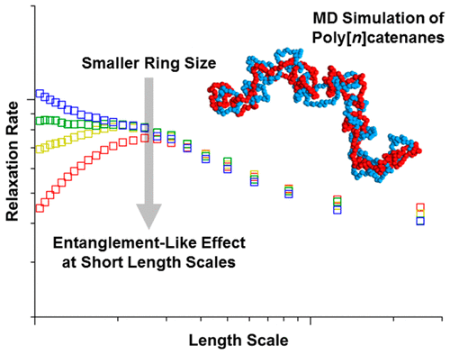 Topological Effects in Isolated Poly[n]catenanes: Molecular Dynamics ...