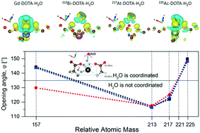 Structure and properties of DOTA-chelated radiopharmaceuticals within ...