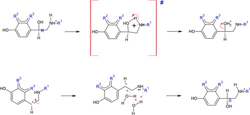 Kinetics and Degradation Mechanism of Adrenaline Derivative CpQ in ...