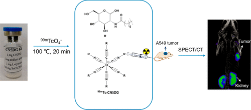 Novel 99mTc-Labeled Glucose Derivative for Single Photon Emission ...