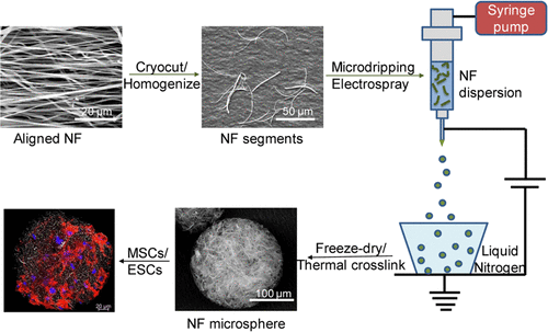 Electrospraying Electrospun Nanofiber Segments into Injectable ...
