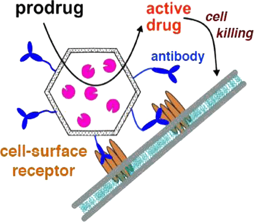 Targeted Elimination of Tumorigenic Human Pluripotent Stem Cells Using ...