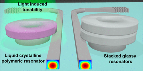 Three-Dimensional Photonic Circuits in Rigid and Soft Polymers Tunable ...