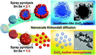 Lithium-ion storage performances of sunflower-like and nano-sized ...