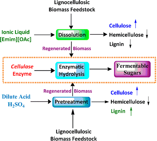 Ionic Liquid and Sulfuric Acid-Based Pretreatment of Bamboo: Biomass ...