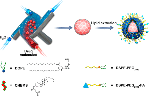 Lipid Stabilized Solid Drug Nanoparticles for Targeted Chemotherapy,ACS ...