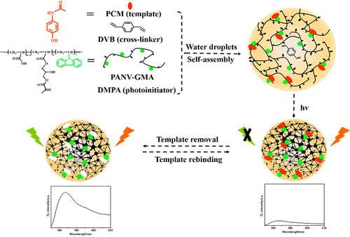 Green Synthesis of Water-Compatible Fluorescent Molecularly Imprinted Polymeric Nanoparticles ...