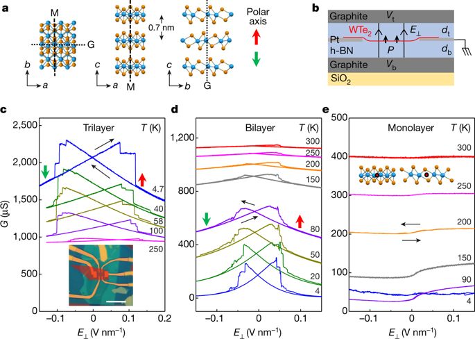 Ferroelectric switching of a two-dimensional metal,Nature - X-MOL