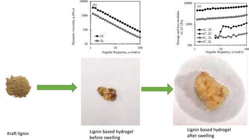 Hardwood Kraft Lignin-Based Hydrogels: Production and Performance,ACS ...
