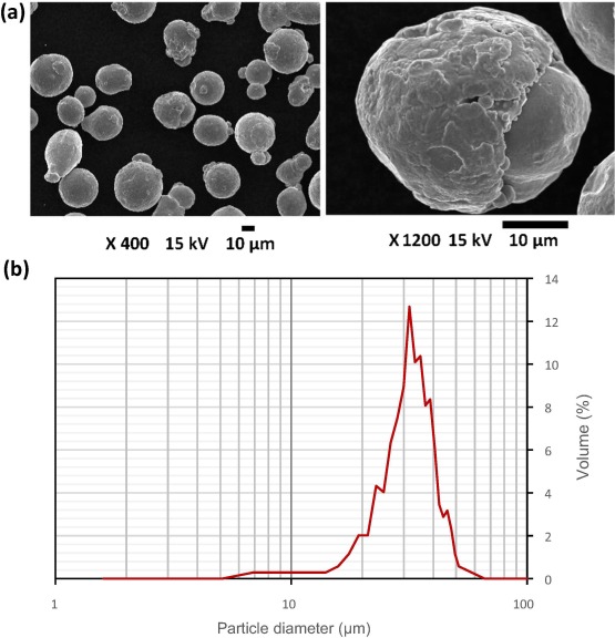 Metal 3D-printed wick structures for heat pipe application: Capillary ...