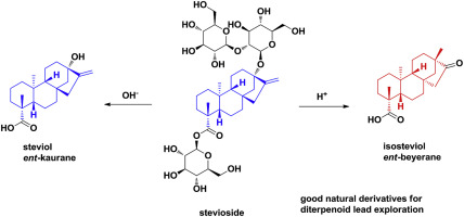 Diterpenoid lead stevioside and its hydrolysis products steviol and ...