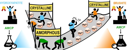 Effect of pH and Mg2+ on Amorphous Magnesium-Calcium Phosphate (AMCP ...